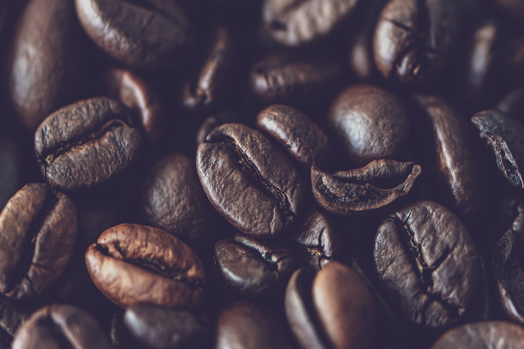 Shuswap Coffee Company | Organic and Fairtrade Coffee | Salmon Arm BC
